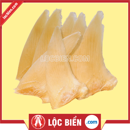 Vi cá mập hay vây cá mập loại 1 giá rẻ bán lẻ tại Hà Nội